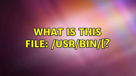 ubuntu what is this file usr bin [ 2 solutions youtube