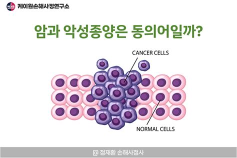 종양의 형태학적 분류와 질병분류 코드 네이버 블로그