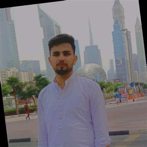 Hassan Chaudhary Self Employed Linkedin