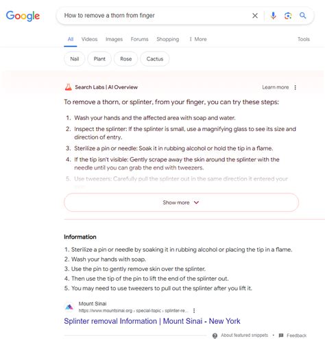 Google Search Snippets Are Perfection Please Don T Force AI Summaries