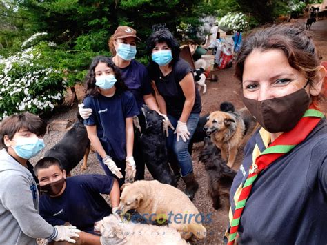 PASSO A PASSO PROTEÇÃO DOS ANIMAIS Vida Terrestre