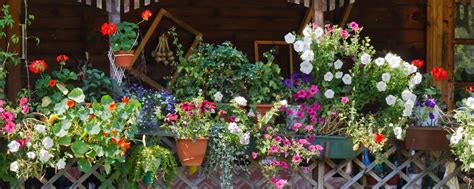 Знакомства парней для отношений Добро пожаловать в закрытую группу где люди со всего мира