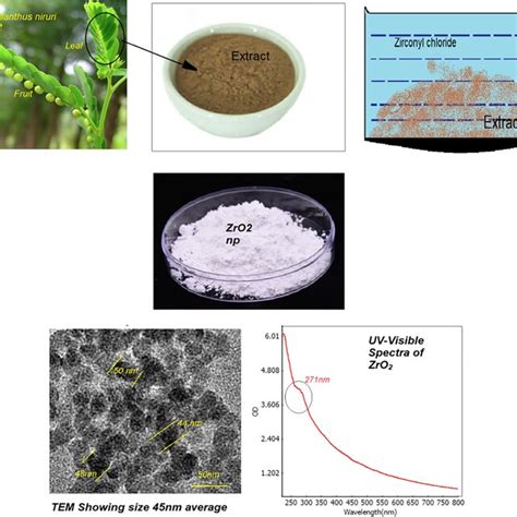 Green Synthesis Routes Of Zro2 Nanoparticle Download Scientific Diagram