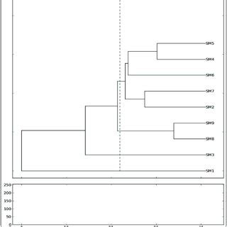 Dendrogram Derived From UPGMA Unweighted Pair Group Method Using