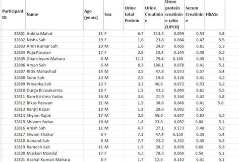 Clean Format Merge Data By Nehapandit946 Fiverr