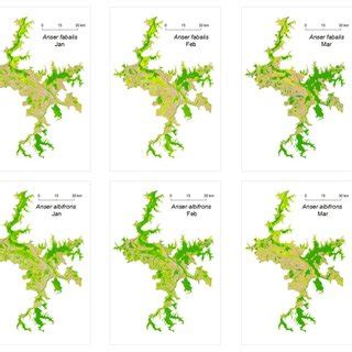 Predicted Maps Of Relative Habitat Suitability Based On Probability Of