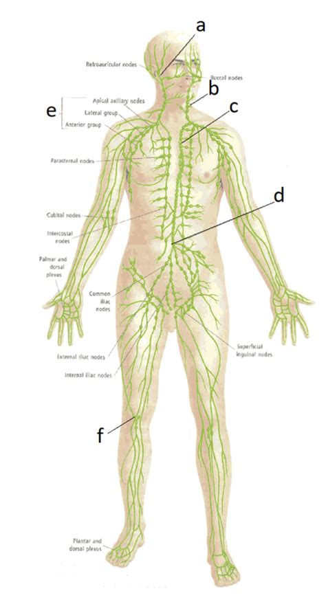 Solved Identify The Structures These Can Be Repeated