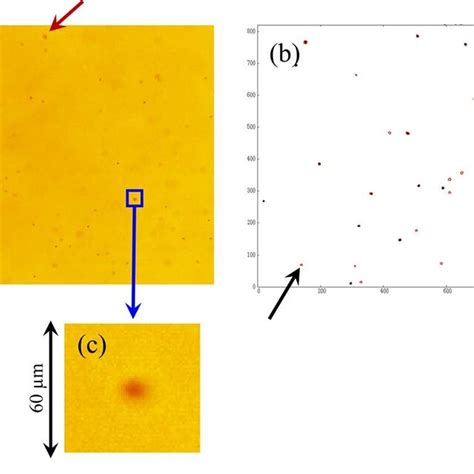 Image After Background Subtraction A And After Treatment B The Download Scientific Diagram