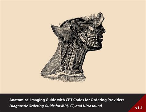Quick Reference Cheat Sheet For Nurse Practitioners Ordering