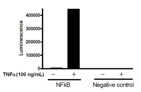 Negative Control Lentivirus Firefly Luciferase Bps Bioscience