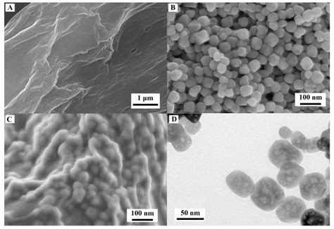 Graphene Oxide Sem
