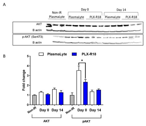 Differential Levels Of Proteins And Their Phosphorylated Forms As