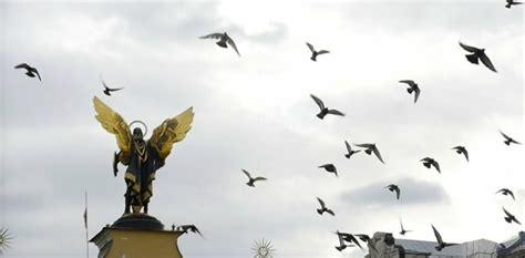 Sandra Orlow A Rising Star In The Modeling World