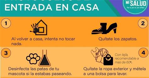 Ie 1177 HÉroes Del Cenepa Protocolo De Entrada En Casa