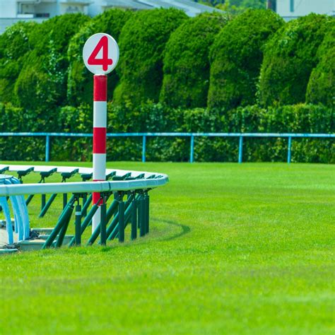 ディスペランツァは消える！関屋記念が「スイスイ5歳馬」の3連単2頭軸で万全なワケ アサ芸プラス