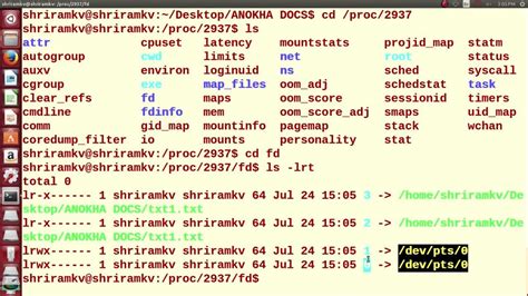 An Introduction To Dup And Dup2 System Calls Youtube