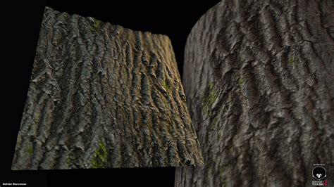 Artstation Tilable Pbr Tree Texture Adrian Barcenas Tree Textures
