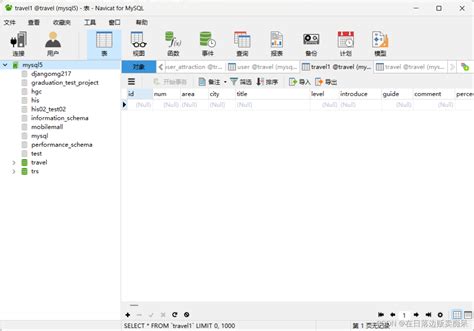导入mysql文件失败怎么办，导入mysql文件的无脑错误（个人学习使用，欢迎交流）导入数据库失败 Csdn博客