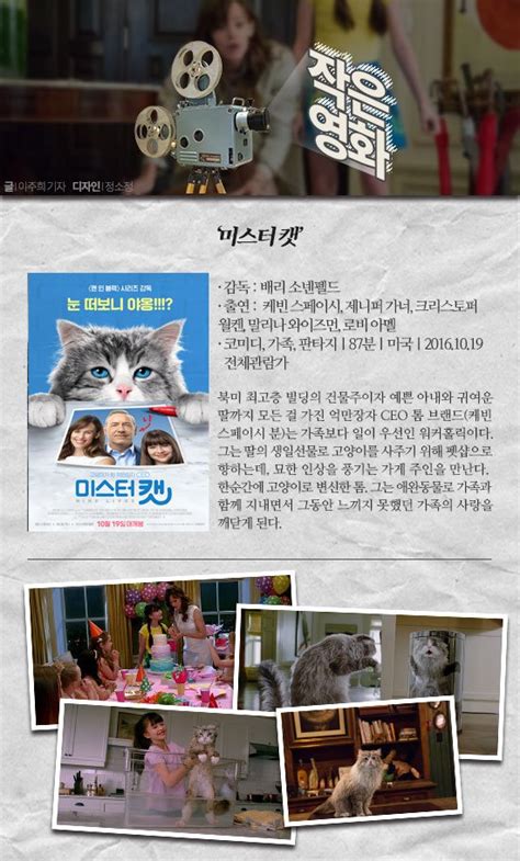 [on 작은영화] ‘미스터 캣 And ‘노트북 전자신문