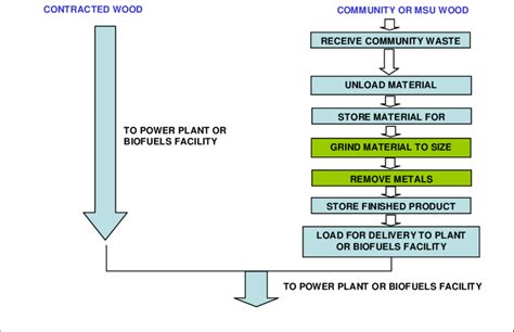 Selected Sequence Option Download Scientific Diagram