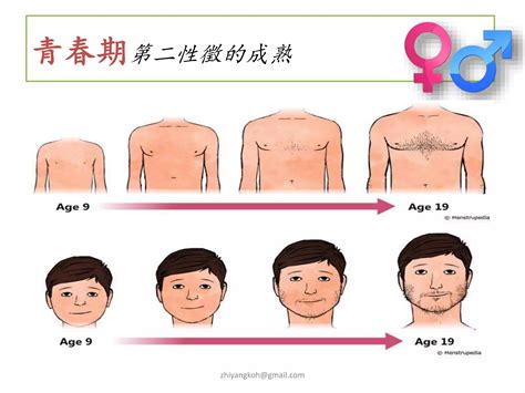 Sex Education Chinese Version Pptx