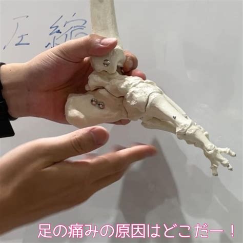 プロに任せる 日本セルコントロール協会 年齢肌をマイナス10歳肌に 引き算美容で細胞から目覚める メンバー講師 黒木可奈子