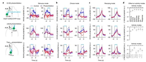 大脑如何做决定？科学家揭示决策行为的皮层 丘脑神经环路 知乎
