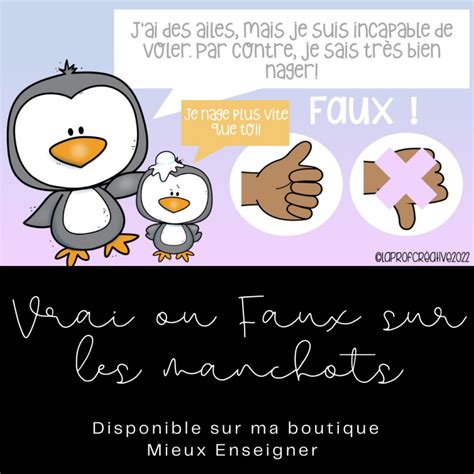 Vrai Ou Faux Sur Les Manchots