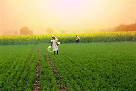 Pm Kisan Samman Nidhi Yojanaइन किसानों को नहीं मिलेंगे योजना के 6 हजार