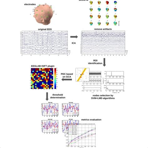 Data Processing Workflow Download Scientific Diagram
