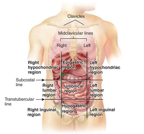 Chapter 1 Digram Diagram Quizlet