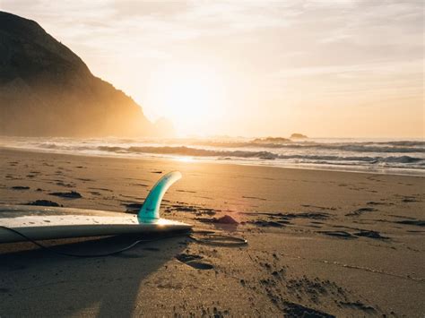 ¿cómo Elegir Las Quillas Para Tu Tabla De Surf Ajo Natura