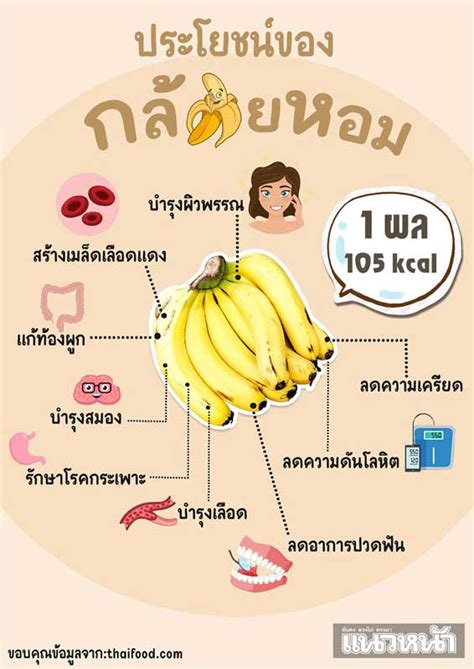 ข่าว Like สาระ ยิ่งใหญ่ประโยชน์ยิ่งเยอะ กล้วยหอม 1 ผลให้พลังงานสูง อิ่มท้องดีต่อสุขภาพ