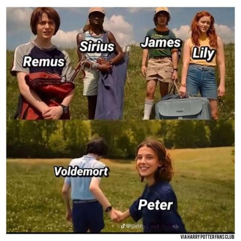 37 Harry Potter Memes For True Potterheads