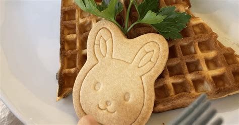 11月の獅子座さんへ｜ ︎hikari ︎ 潜在意識と星座占い🧚🏻‍♀️🕊️