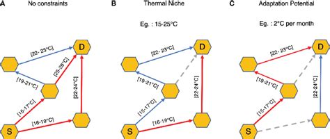 Schematic Representations Of Different Constraints Applied On The