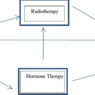 Transition Between Situations Download Scientific Diagram