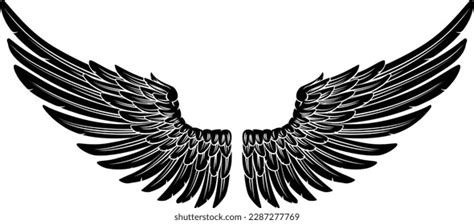 Spread Pair Angel Eagle Feather Wings Stock Vector Royalty Free