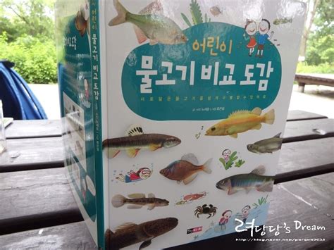 물고기 이름 물고기 종류 물고기 비교 물고기와 친구되기 어린이 물고기 비교 도감 네이버 블로그