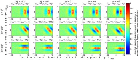 Disparity Tuning Surfaces For 15 Example Disparity Encoding Neurons