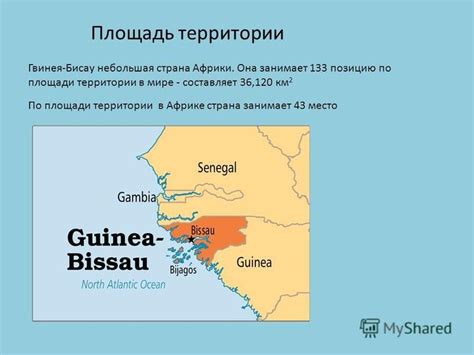 Презентация на тему Экономика Гвинеи Бисау Географическое положение