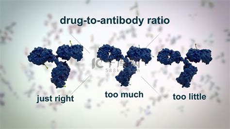 典型抗体分子的结构。抗体和氨基酸高清摄影大图 千库网