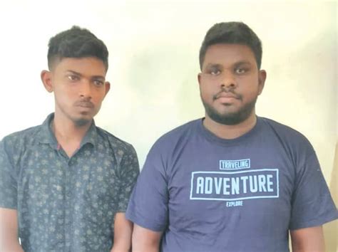 Illegal Transportation Of Cattle Two Arrested 37 Cows Calves Rescued