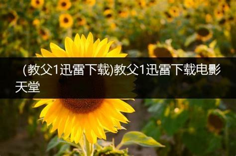 （教父1迅雷下载教父1迅雷下载电影天堂 比翼知识网