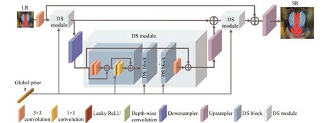 Contrastive Learning For Blind Super Resolution Via A Distortion Specific Network