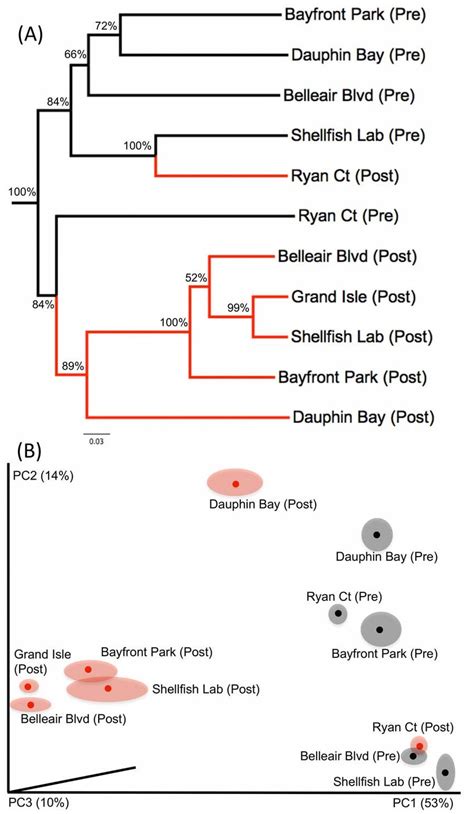 Phylogenetic Beta Diversity Analysis Of Eukaryote Communities Conducted