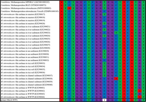 Alignment Of Primers With The Related Sequences Downloaded From Ncbi