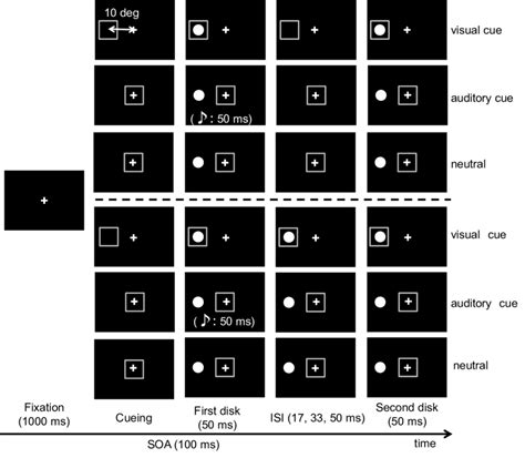 Schematic Representation Of The Procedure In Experiment 1 The Upper Download Scientific