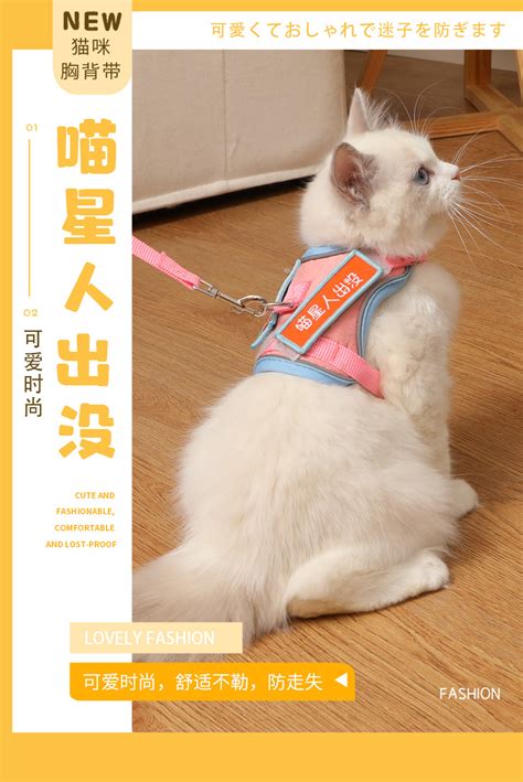 猫咪牵引绳防挣脱外出遛猫绳子溜猫链子猫猫宠物胸背带可调节 阿里巴巴