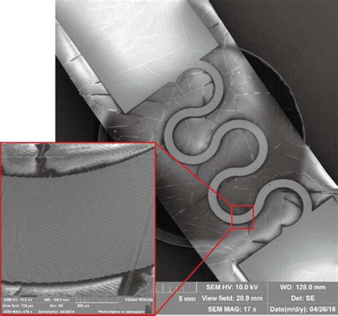 A Sem Of A Patterned Au Interconnect On A Pdms Substrate Download Scientific Diagram